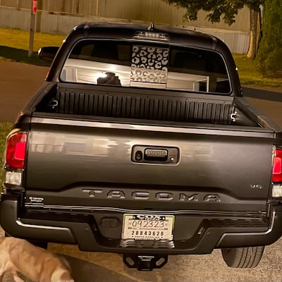 Fits 2011-2019 Ford Explorer Rear Side Windows Sunflowers - Etsy