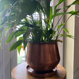 Copper Planters, Indoor Planters, Copper Color Gardening Decor, Copper ...