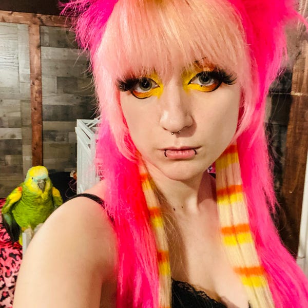 After Midnight Blue Coontails Scene Kids Emo Girl Boy Human Hair Clip ...