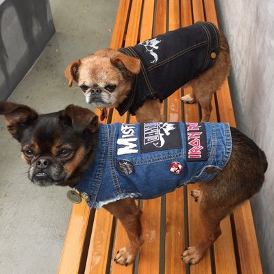 Denim Dog Jacket / Denim Dog Vest /dog Coat / Dog Denim / Dog Vest ...