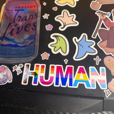 Safe Space Progress Pride Flag LGBTQ POC Transgender Flag Vibrant Color ...