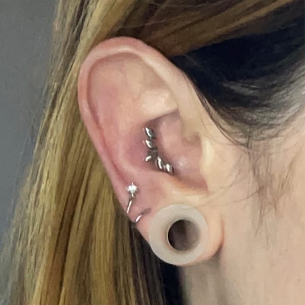 ASTM F136 Titanium Five Leaf Conch Labret, Internally Threaded, 16 ...