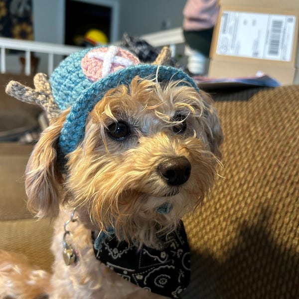 One Piece Anime Handmade Crochet Hat Tony Chopper Blue & Pink Hat ...