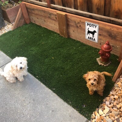 Potty Area With Dog Standing Aluminum Dog Sign 9 X 12 - Etsy