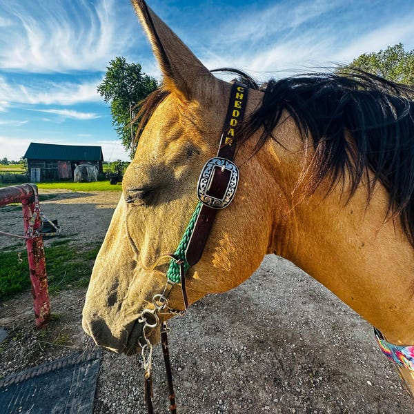 Tie Down Keeper/ Saddle Tassel - Etsy