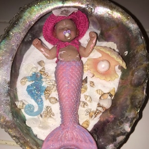 1 to 100 Astrea Calcar Turban Spurred Shells Natural Cream | Etsy