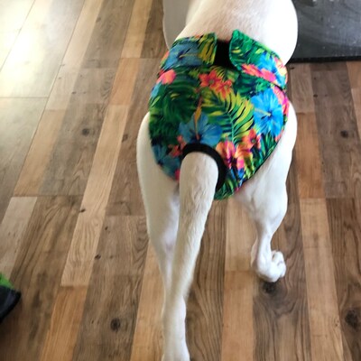 Dog Drying Coat, Grooming Coat, Lycra, Washable, Comfortable, Custom ...