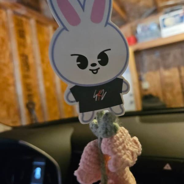 Straykids Buff Skzoo Keychain V2 - Adorable & Durable K-pop Accessory ...