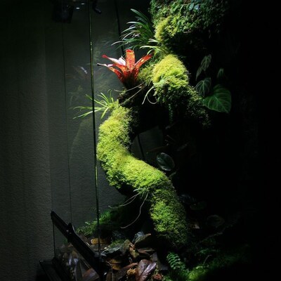 Dusk Moss Mix - Etsy