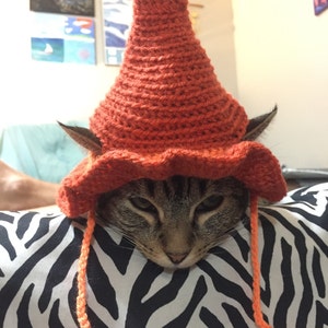 Elf Cat Costume Elf Cat Outfit Christams Hat and Collar for | Etsy