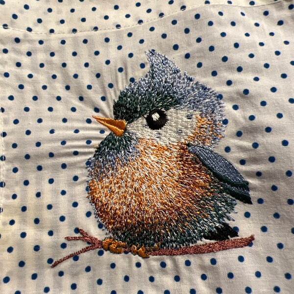Little Birdy Machine Embroidery Designs Birds - Etsy