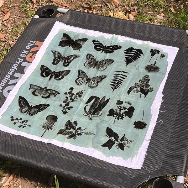 Cyanotype Stencils, Cyanotype Kit Just Stencils, Diy Craft, Cyanotype ...