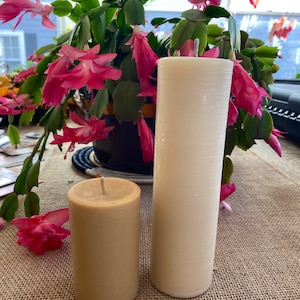 Square Braid 6 Cotton Candle Wicks Large Cotton Wick | Etsy