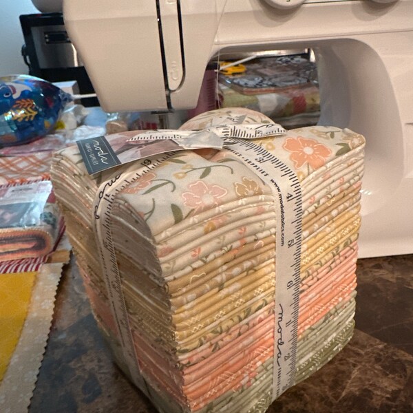 Fruit Loop Layer Cake by Basicgrey for Moda Fabrics 30730LC 42 10 Fabric Squares - Etsy