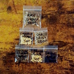 Marketer Cucumber Seeds 50+ Vegetable Garden Heirloom NON-GMO USA - Etsy