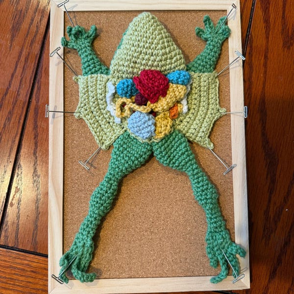 Crochet Dissected Rat - Etsy