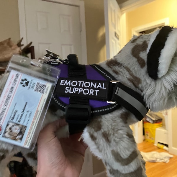 ESSA Harness With Handle Emotional Support Plush Make Your Own Stuffed ...