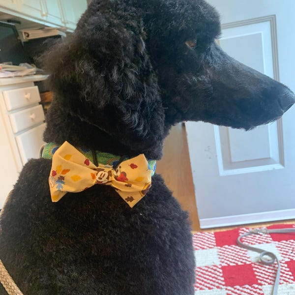 10 Random Neck Ties - Etsy