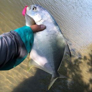 Tog Blackfish Rockfish Sheepshead Ocean Sweeper Jig - 5 PACK ( Black ...