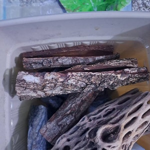 Organic Catappa Bark for Betta Fish, Shrimp Tropical Fish Freshwater ...