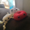 Blood Cell Amigurumi Trio Crochet Pattern Bundle - Etsy