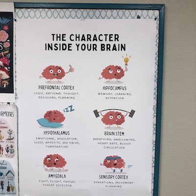 Zones of Regulation Mood Meter Digital Poster Print Feelings ...