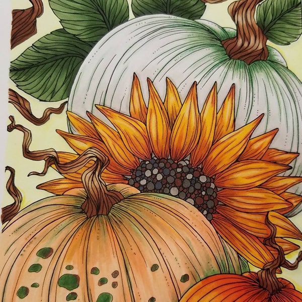 Pumpkins and Sunflower Digital Coloring Page Fall, Adult Coloring, Digi ...