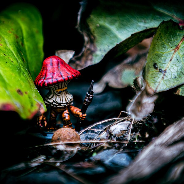 Human Adventurer Dnd Inspired Fantasy Dnd Tabletop RPG Mini Great ...