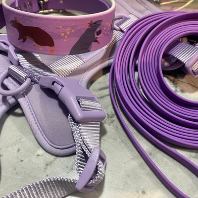 Custom Biothane Training Tab - Etsy