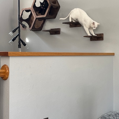 Cat Wall Steps Cat Wall Bridge Cat Wall Bed White Steps for - Etsy