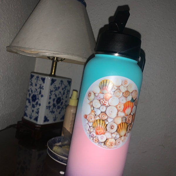 Opihi Limpet Hawaiian Shells | 10 Shells | Hawaii Shell Jewelry Making ...