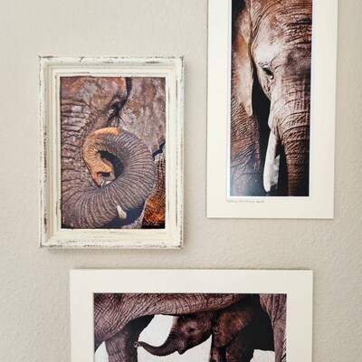 WOOD DUCK Ready to Hang Dye Sublimation Print - Etsy