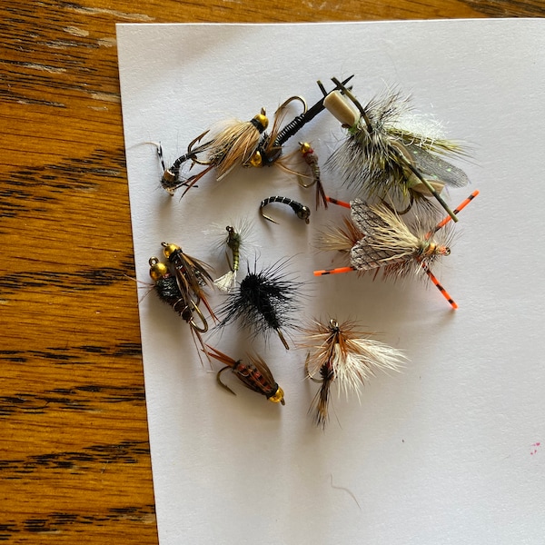 Trout Fly Fishing Assortment – Trout Flies Gift Set for Anglers & Fly ...