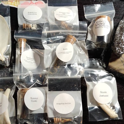 20 Item Curiosities Mystery Box Gift Real Animal Bones Fossils ...