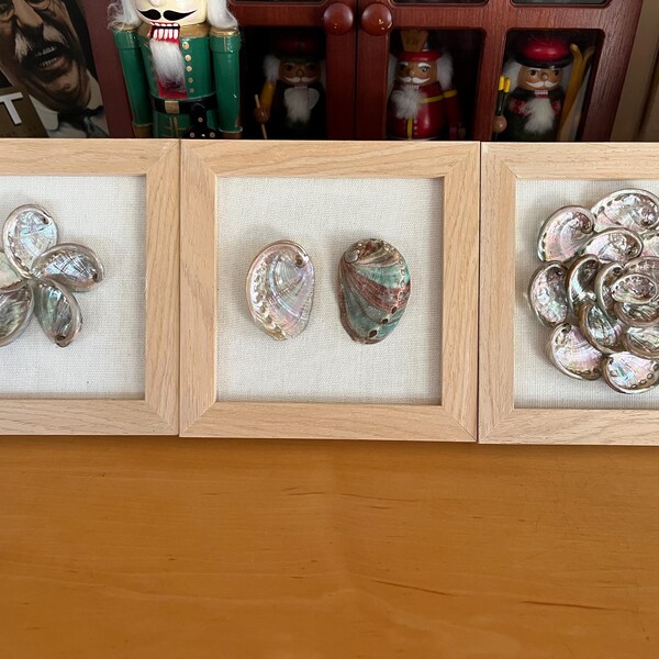 Bulk Raw Red Abalone Shells, Bulk Shells for Crafting, Abalone Shells ...