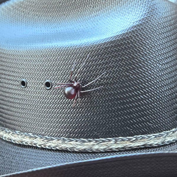 Giant Plastic Spider: Realistic Halloween Prop - Etsy