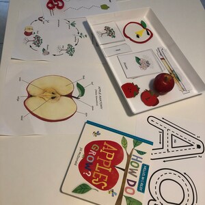 Editable Hopscotch, Sensory Path With WORDS & NUMBERS, Printable Floor ...