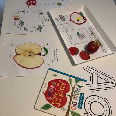 Colorful Floor Sensory Path Set Printable Hopscotch for - Etsy