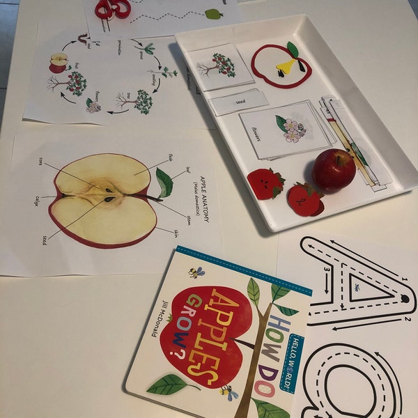 EDITABLE Hopscotch: Sensory Path With WORDS & NUMBERS, Printable Floor ...