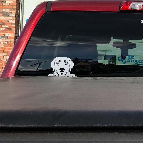 Peeking Lab - Labrador Retriever Decal - Etsy