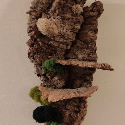 Floating Forest Art Gift, Moss on Cork Bark Natural Wall Decor ...