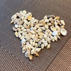 100 Small Seashell Mix, Tiny Sea Shell Lot, Beach Wedding Decor, Sea ...