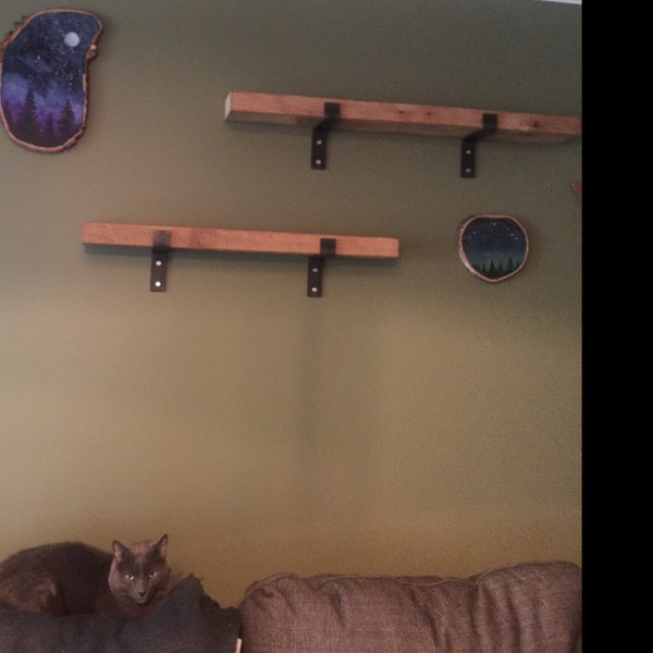 Digital Download USA Map - Printable, Hand Lettered, United States of ...