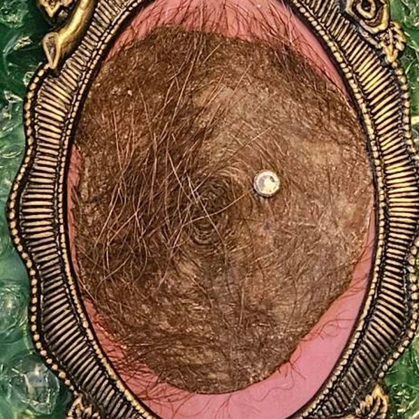 Groundhog Woodchuck Bones Full Skeletons Juvenile Adult Sold by Type ...