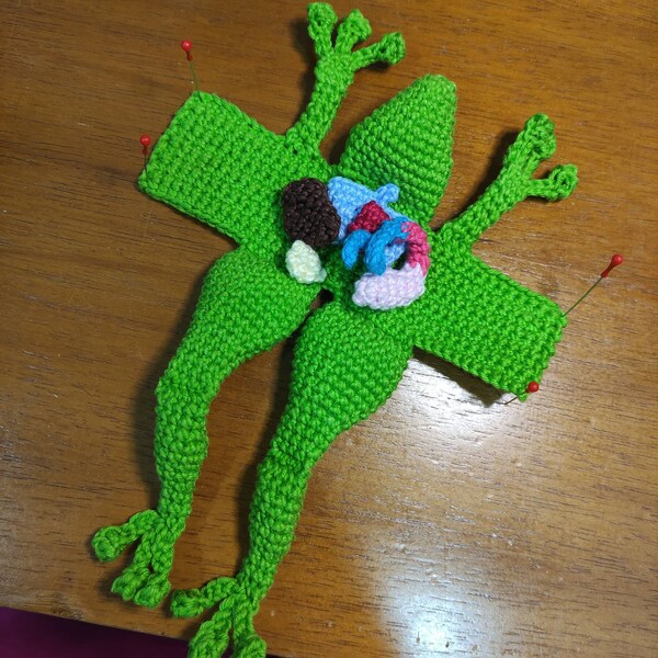CROCHET PDF PATTERN Anatomical Frog, Frog's Anatomy, Educational Toy ...