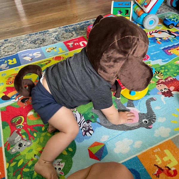 Monkey Baby Hat/monkey Hat and Tail/purple Monkey Hat/monkey Baby ...