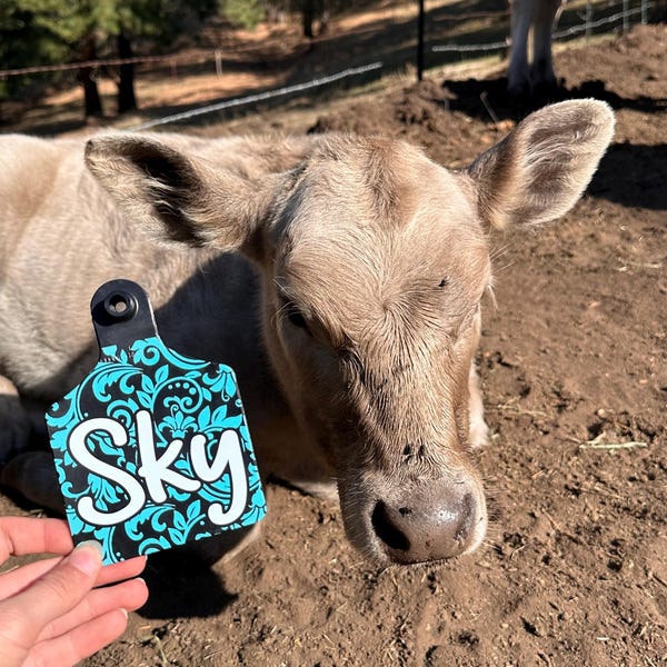 Custom Cattle Ear Tag - UV Printed Full Color Weatherproof ...