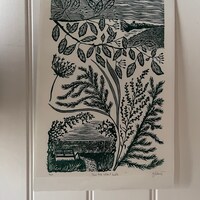 Shell Collection Original Limited Edition Lino Print, Linocut Print ...