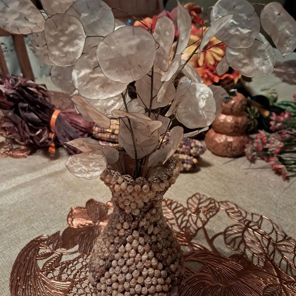 5 Branches of Dried Lunaria, Dried Silver Dollar Plant, Dried Money ...
