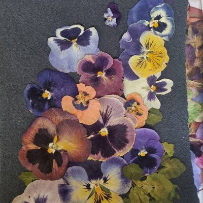 70 Envelope Stiffeners A4 Lightweight Corrugated Card - Etsy